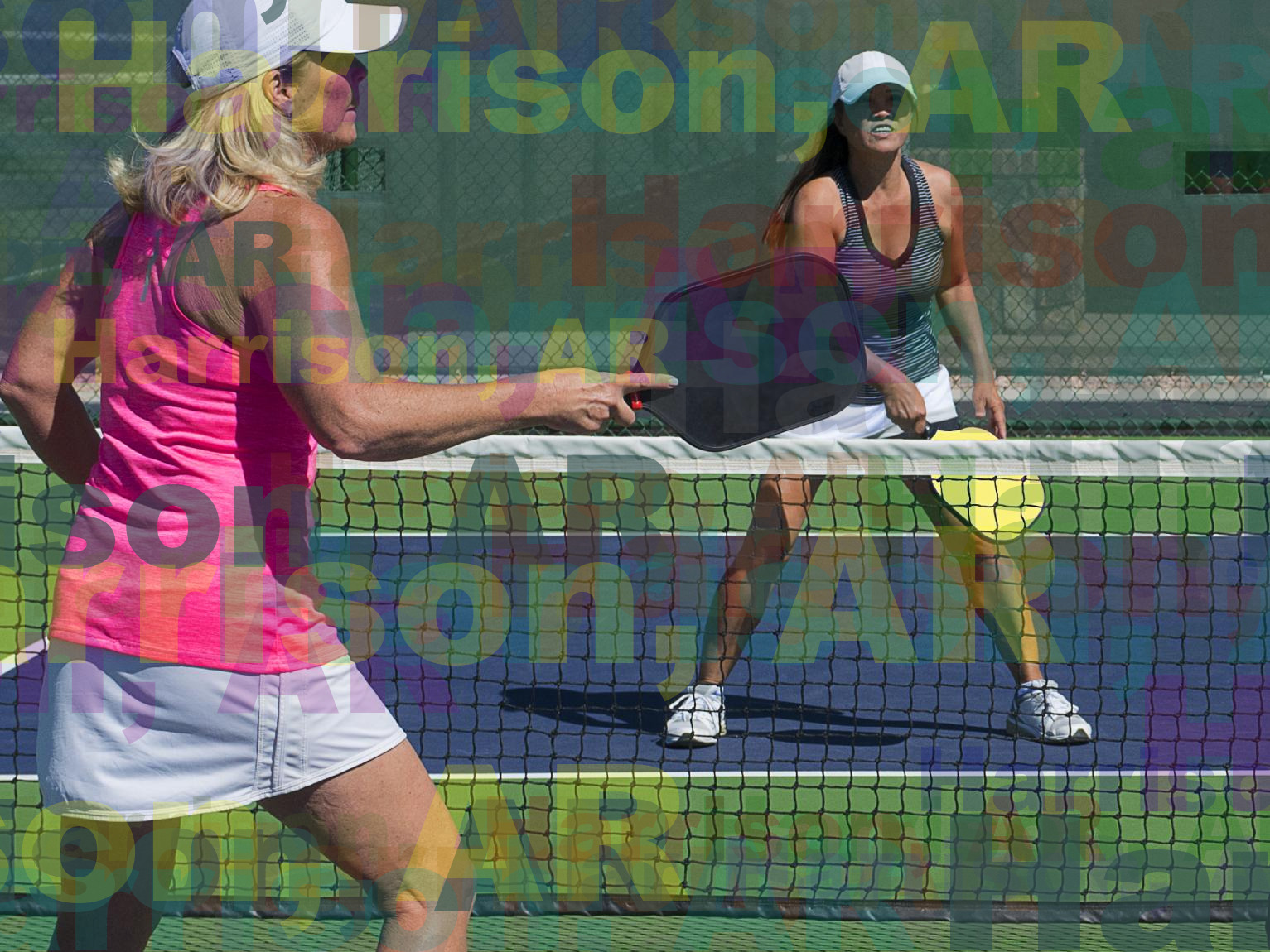 Harrison AR Pickleball - Courts Near You